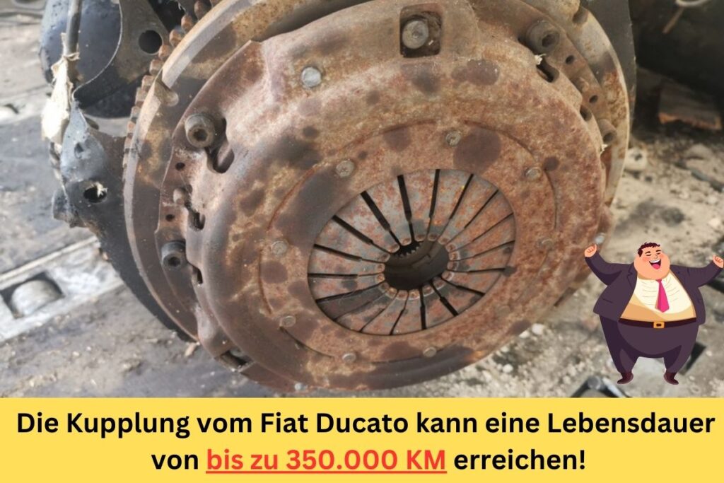 Fiat Doblo Anhngerkupplung Nachrsten Kosten